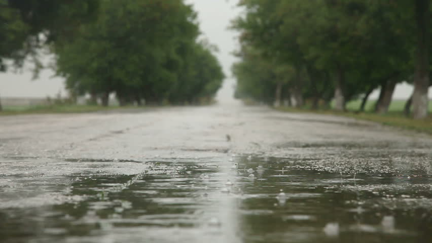 Falling Raindrops Into Puddle Stock Footage Video 4066369 - Shutterstock