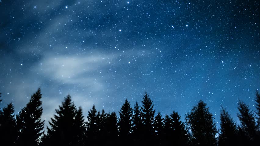 Timelapse Of Stars Moving In Night Sky Over Pine Trees. Stock Footage ...