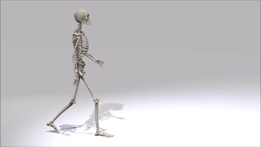 Walking Skeleton Stock Footage Video 2837296 - Shutterstock