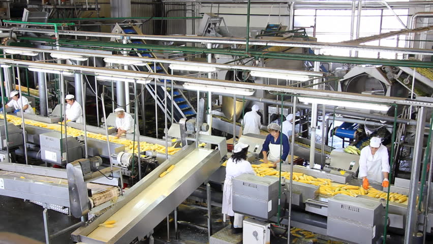 Corn Processing Factory Stock Footage Video 2735201 - Shutterstock